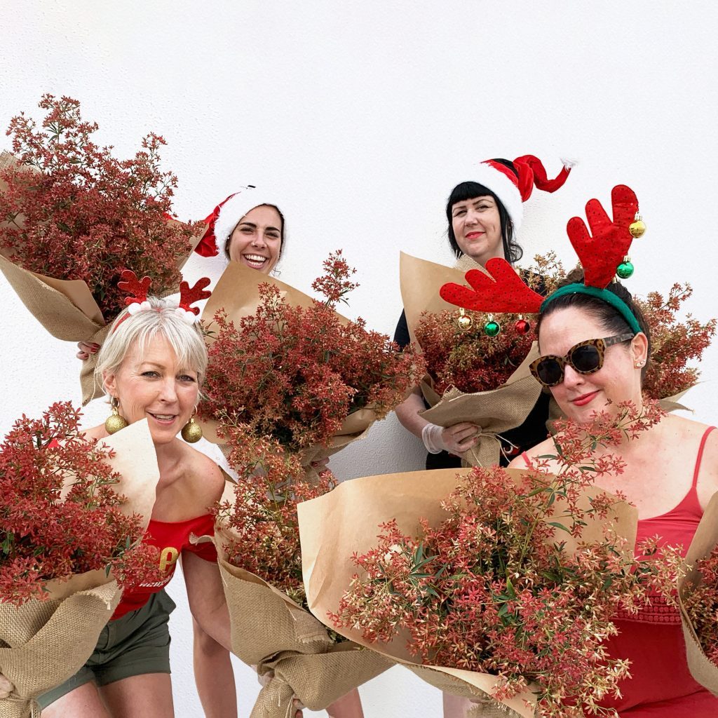 Christmas Bush | Delivered In Sydney By Little Flowers
