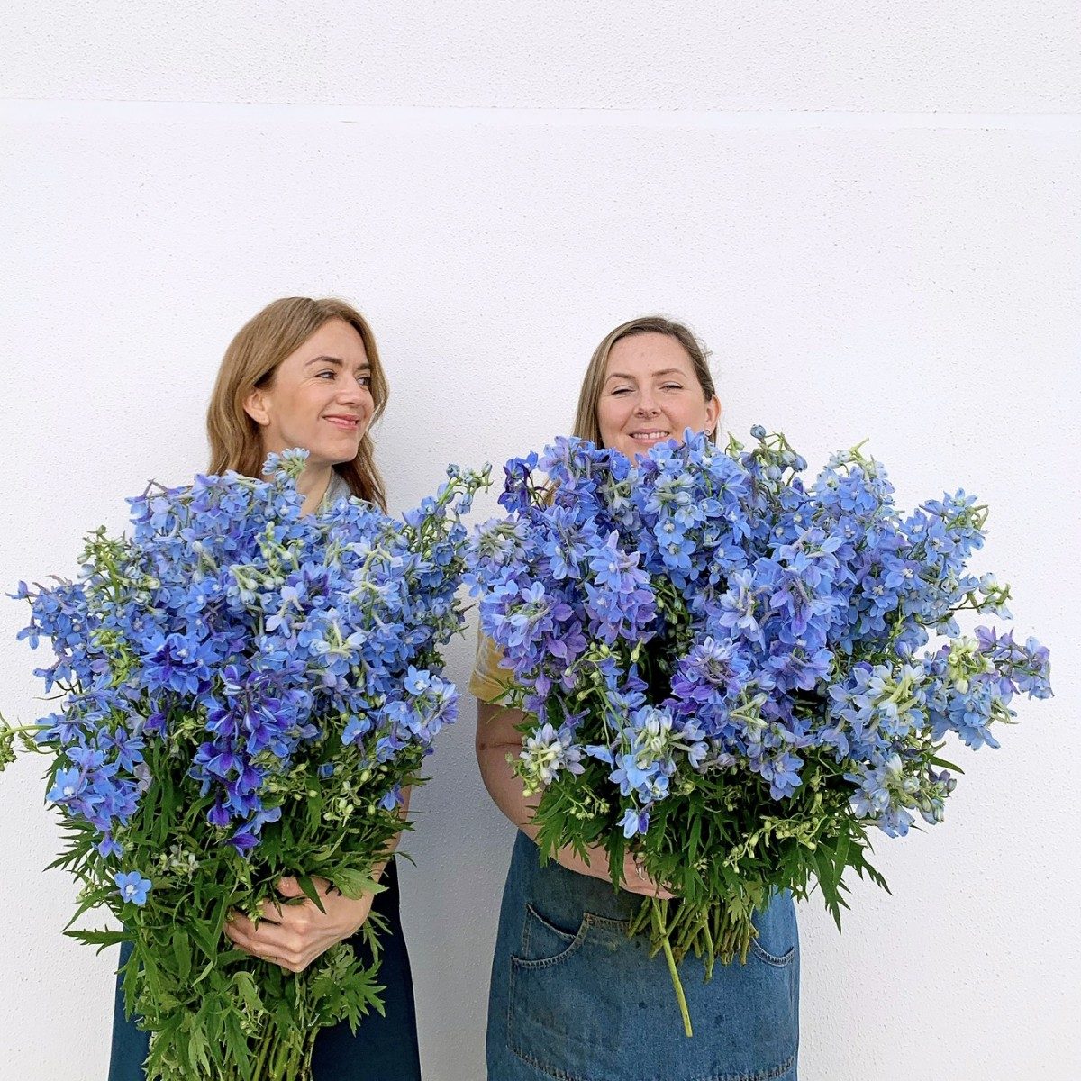 The Best Winter Flowers. | Little Flowers