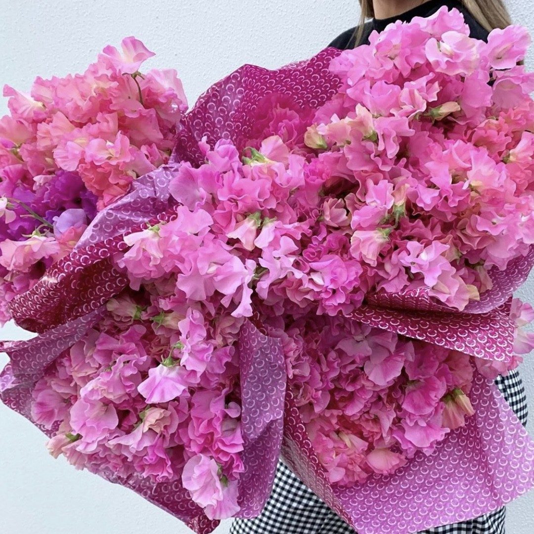 The Best Winter Flowers. | Little Flowers