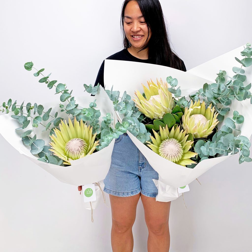 White King Proteas | Delivered In Sydney By Little Flowers