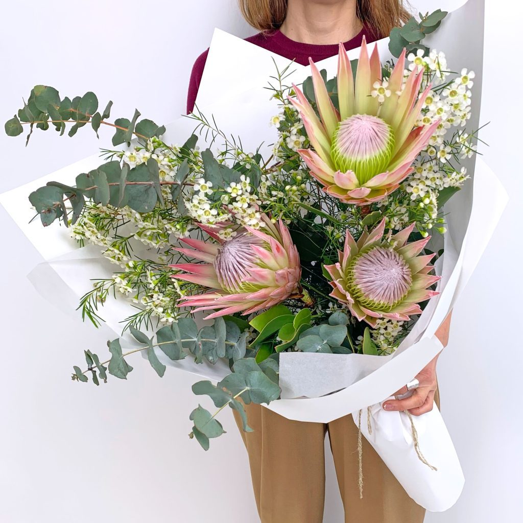 King Protea | Delivered In Sydney By Little Flowers