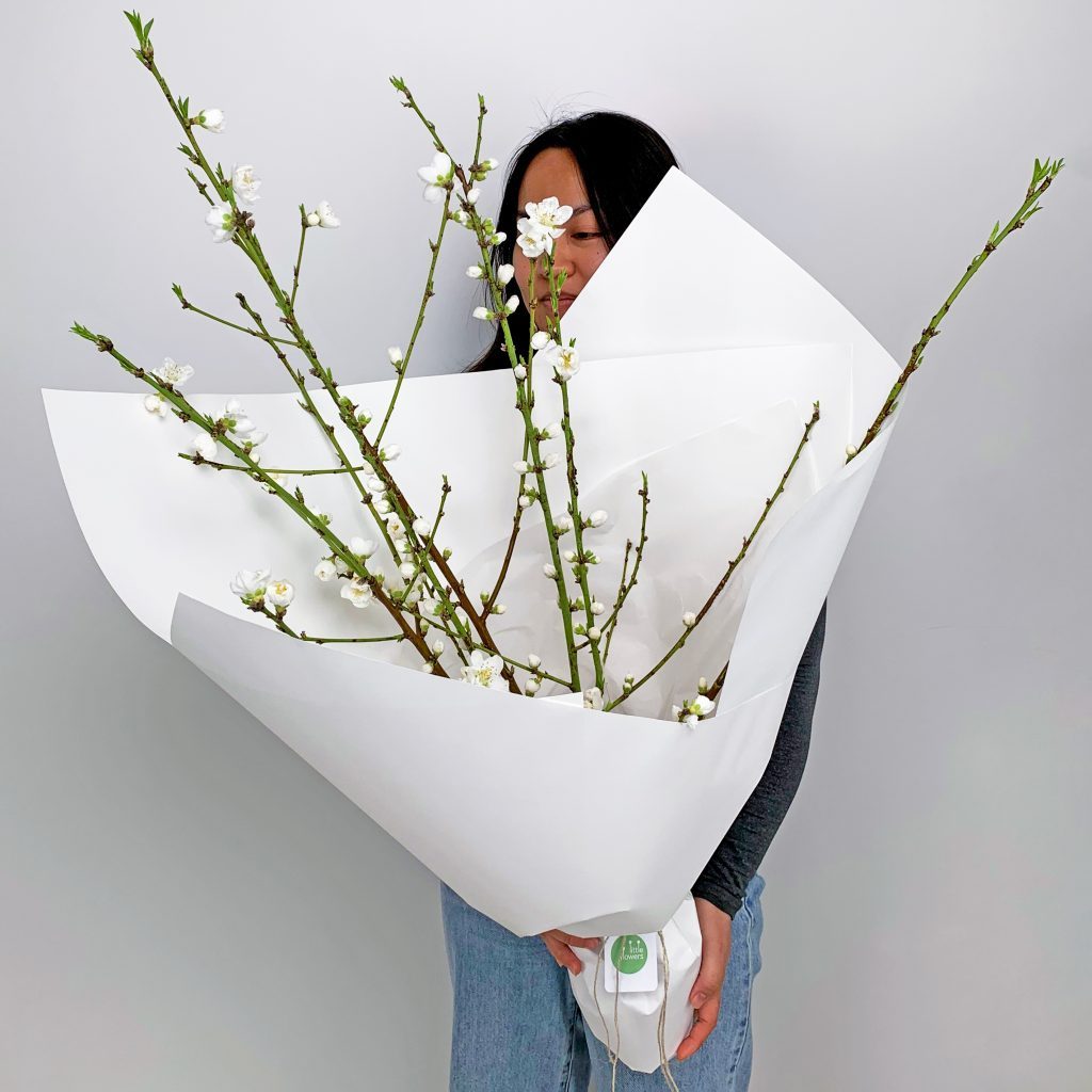 Blossom | Delivered In Sydney By Little Flowers
