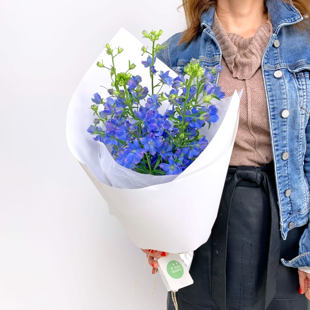Butterfly Delphinium | Delivered In Sydney By Little Flowers