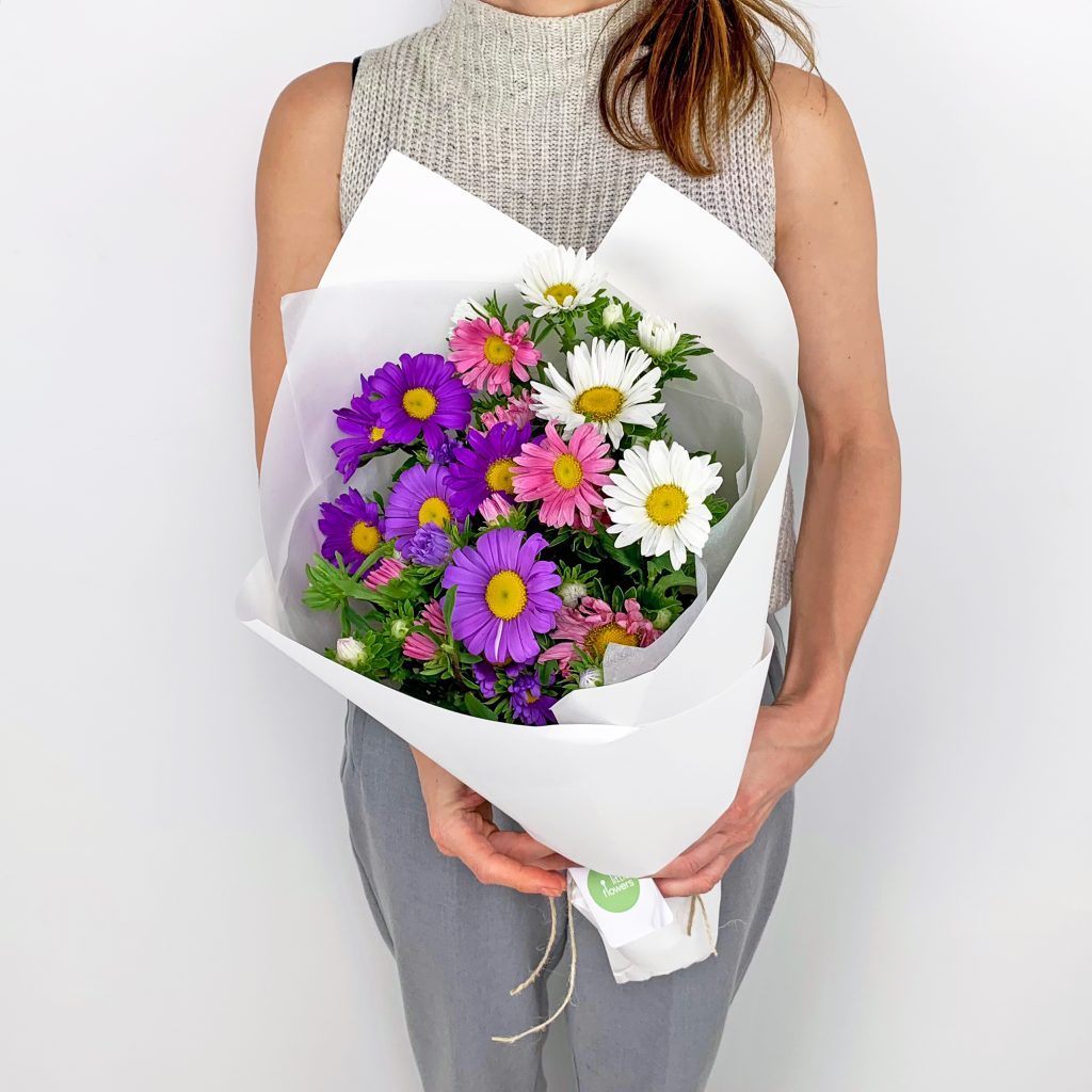 Rainbow Asters | Delivered In Sydney By Little Flowers