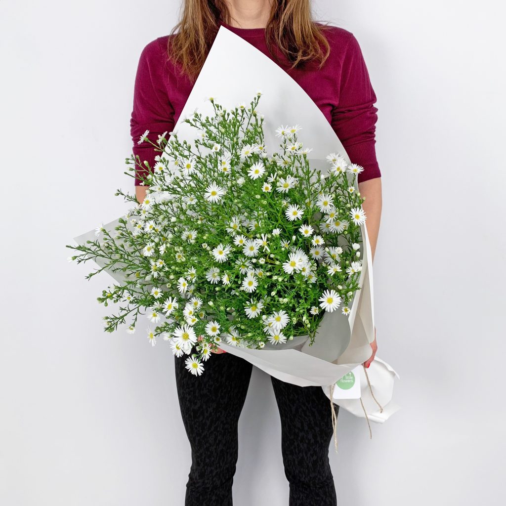 Easter Daisy | Delivered In Sydney By Little Flowers