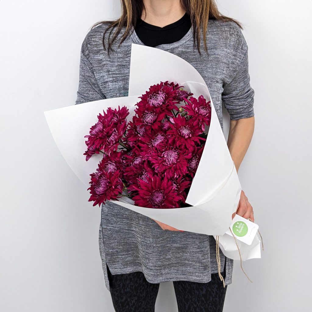 Maroon Chrysanthemums | Delivered In Sydney By Little Flowers