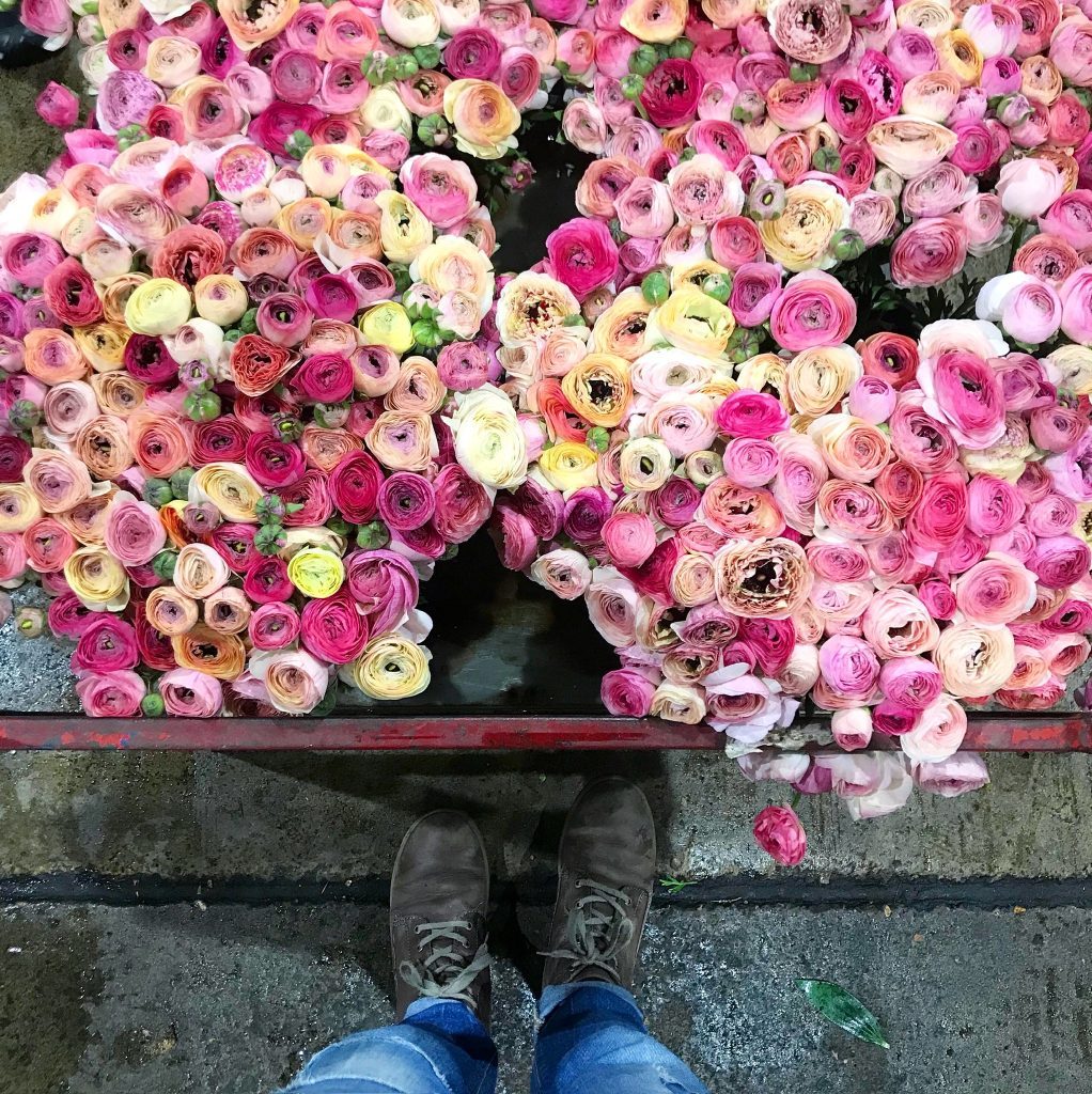 Spring Flowers Sydney: What’s Blooming & When To Send Them | Little Flowers